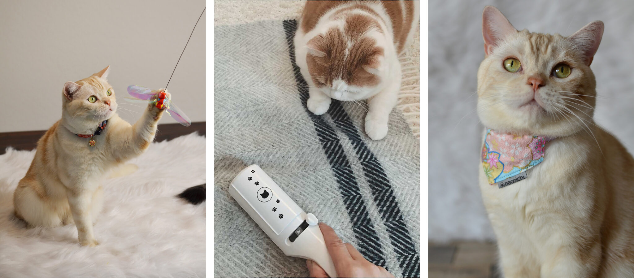 Check out our New Brand: Necoichi! - American Distribution and Manufacturing Company